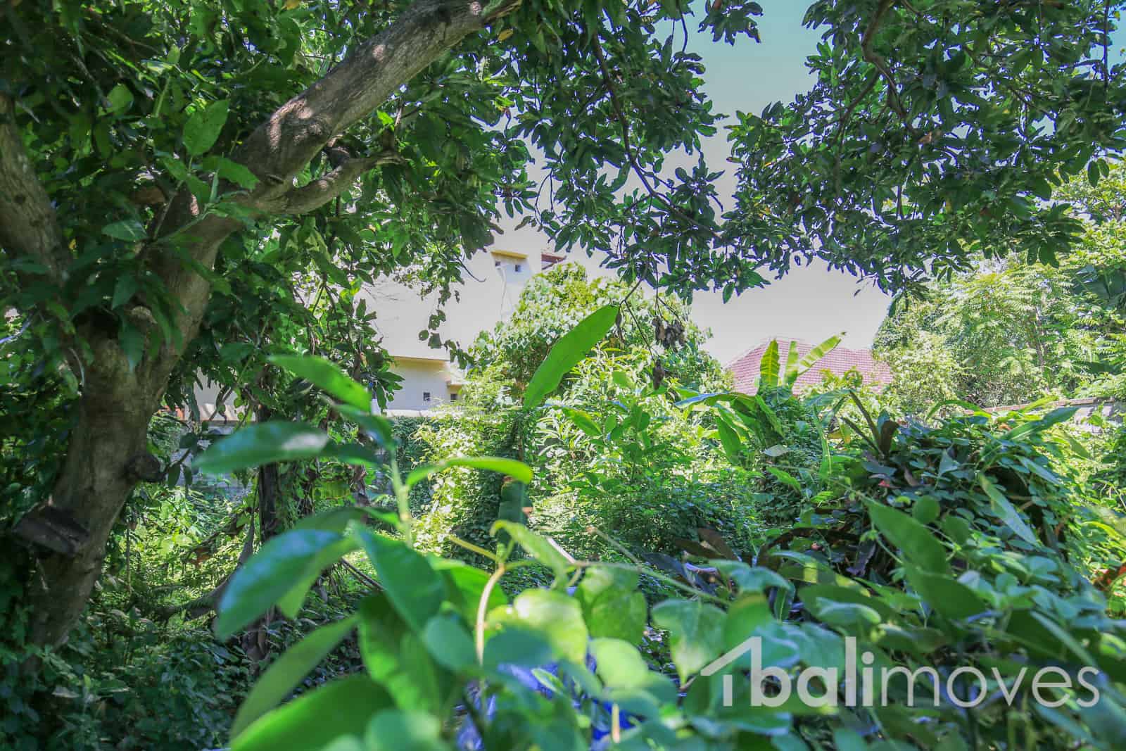 1000-m2-land-in-a-quite-area-for-lease-balimoves-property